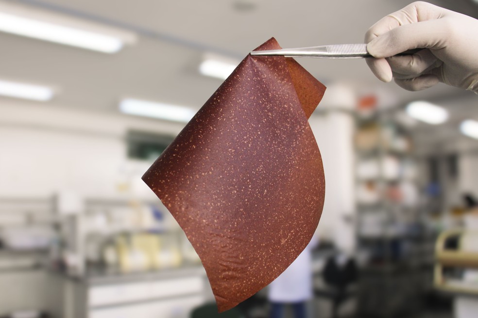 O que é o bioplástico e quais são os empecilhos no Brasil para a ...