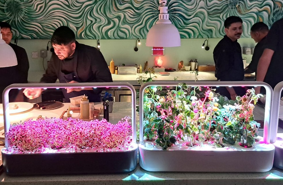 Restaurante estrelado dá nova dimensão à cozinha vegetariana | Eu ...