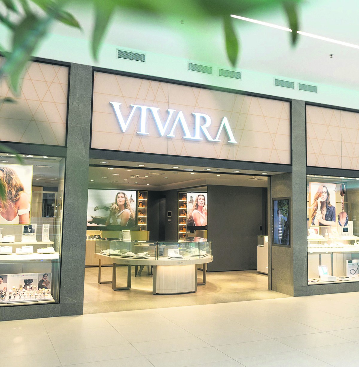 Na Vivara, nova troca de presidente ainda é ponto sensível | Empresas ...