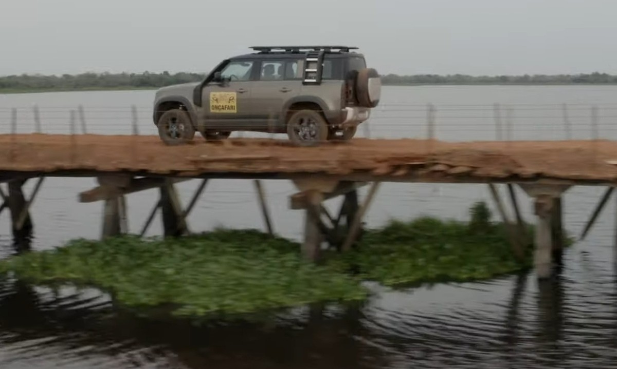 “Onçafari” é versão do Defender 110 de apenas 25 unidades por R$ 677 ...