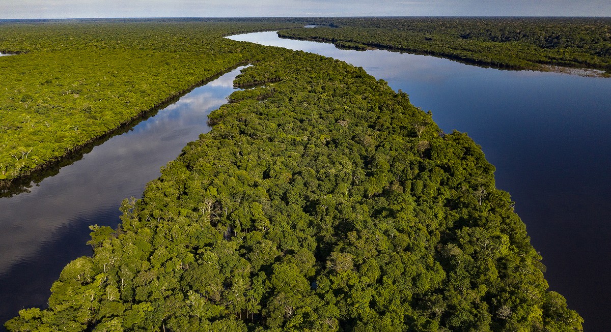 Cúpula da Amazônia: Desmate zero não é consenso em encontro em Belém ...
