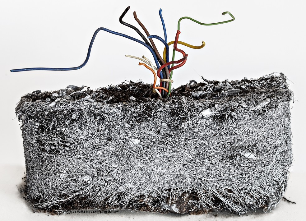 Tatiana Salem Levy: Pensamento e a arte são processos coletivos | Eu ...