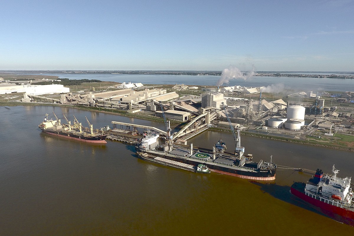 Mercado de fertilizantes: meta é reduzir a dependência externa ...