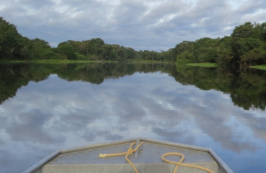 Ibama nega licença para exploração de petróleo na bacia da Foz do ...