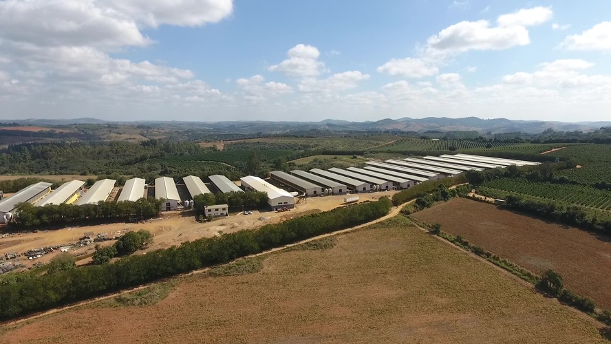 Lucro da Granja Faria caiu 47% no primeiro trimestre | Agronegócios ...