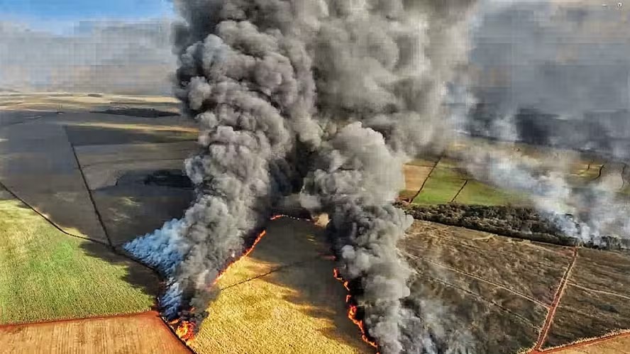 1,6 milhão de pessoas estão em cidades com alerta máximo de queimada em ...