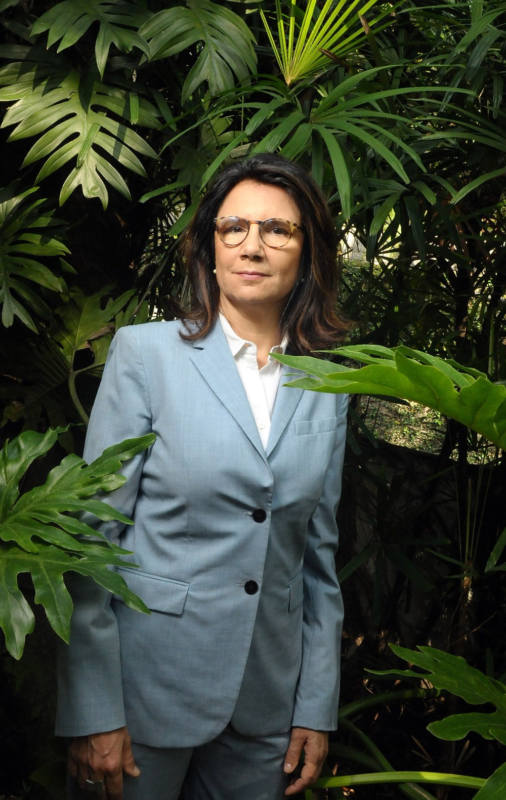 ‘Reforma tributária será fundamental para área do clima’, diz Ana Toni ...