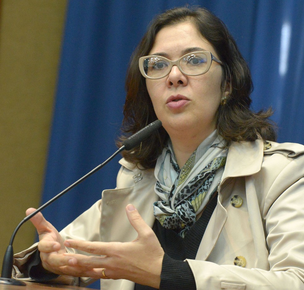 Estado de calamidade precisa ser estendido, diz procuradora | Brasil ...