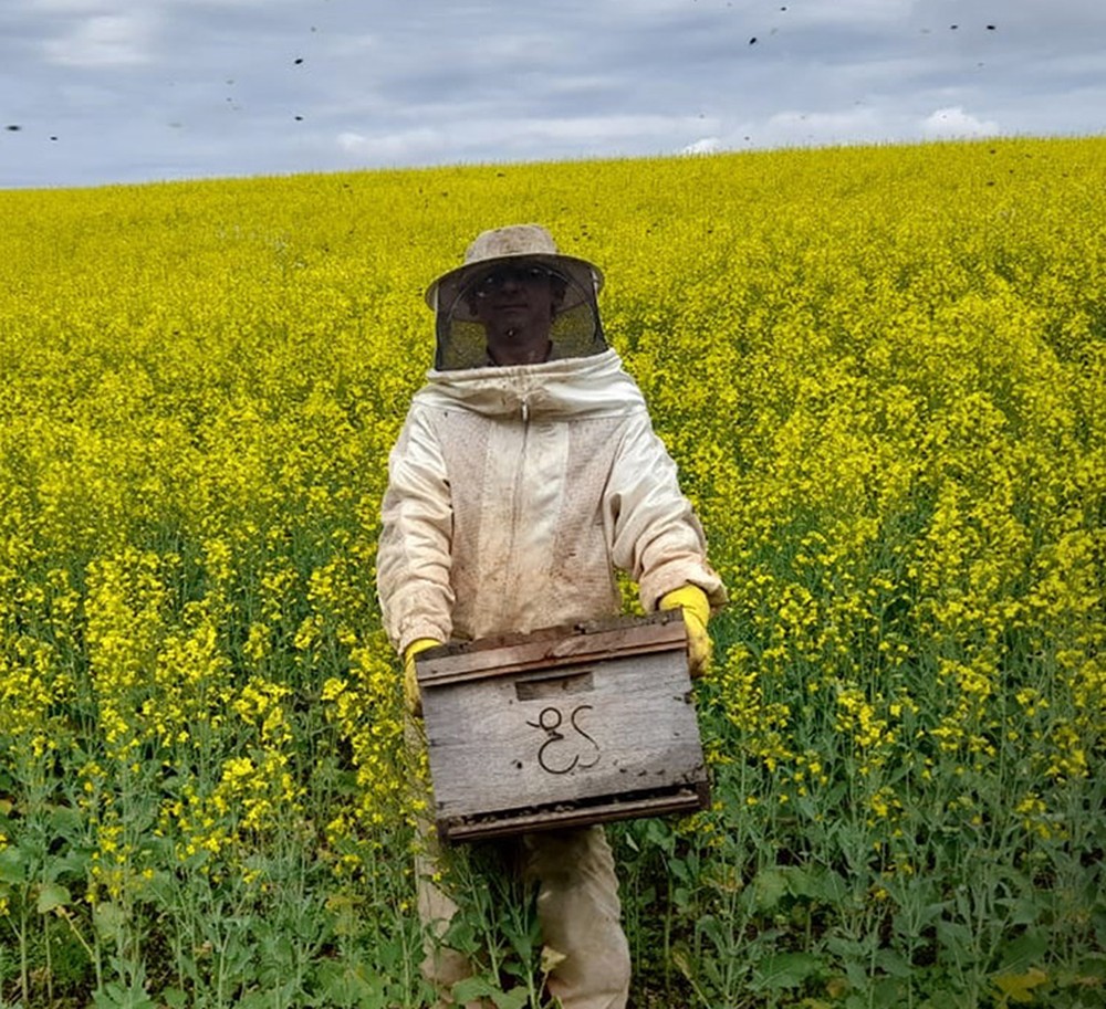 AgroBee receberá aporte de fundo da Koppert | Agronegócios | Valor Econômico